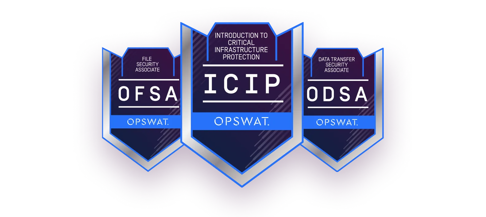OPSWAT Cybersecurity Basic Course Bundle - OPSWAT Academy
