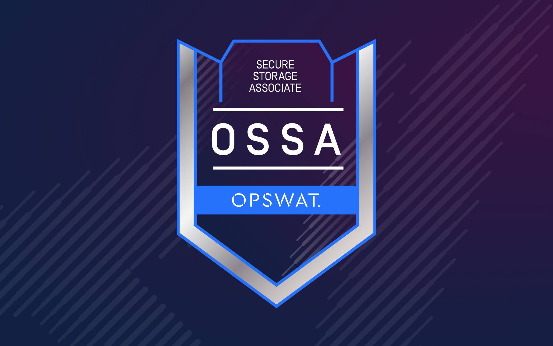 OPSWAT Academy x ELITECISOs Scholarship Program - OPSWAT Academy